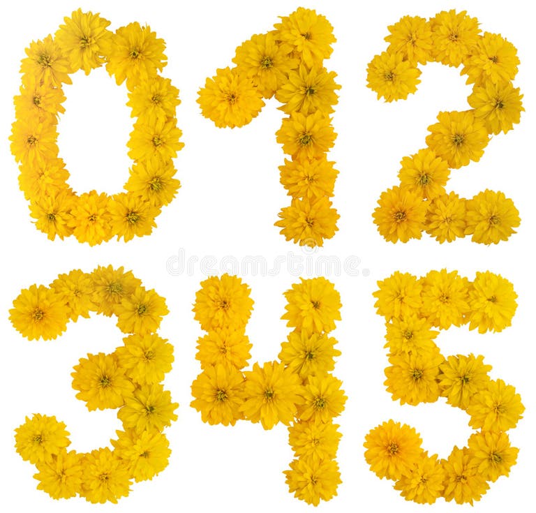 4,314 Flower Numbers Stock Photos - Free & Royalty-Free Stock Photos ...