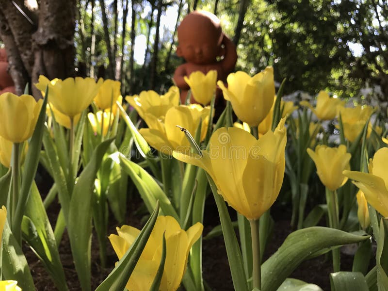 Nutural Stock Photos - Download 223 Royalty Free Photos