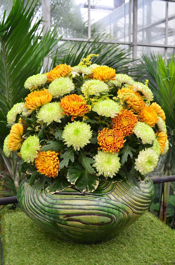 Flower in object stock photo. Image of frames, orchid - 25670172