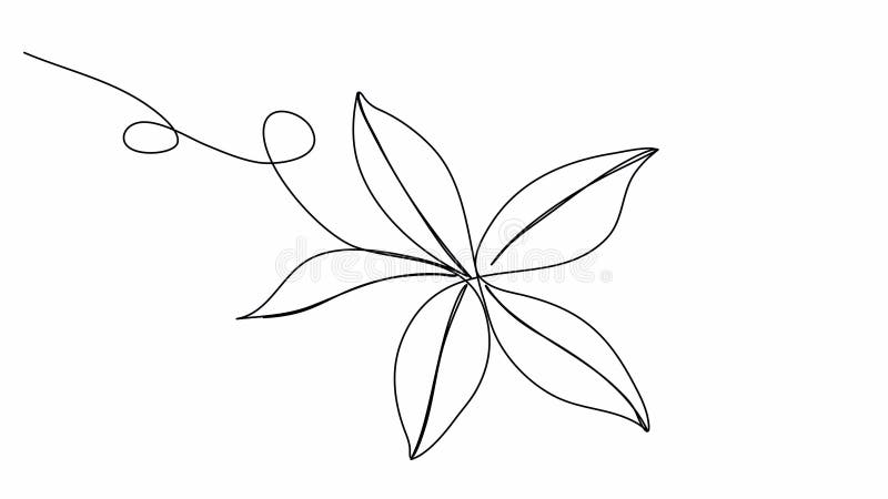 Flower. One Line Drawing Animation with Alpha Channel. Stock Video ...
