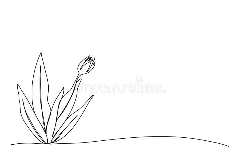 Flower. One Line Drawing Animation with Alpha Channel. Stock ...
