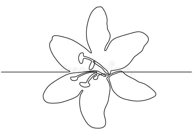 Flower One Line Drawing Minimalism Of Orchid Plant Vector Hand Drawn