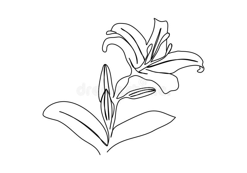 Flower. One Line Drawing Vector Illustration Stock Vector ...