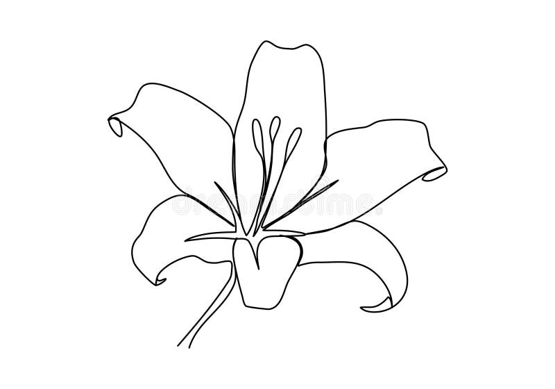 Flower. One Line Drawing Vector Illustration Stock Vector ...