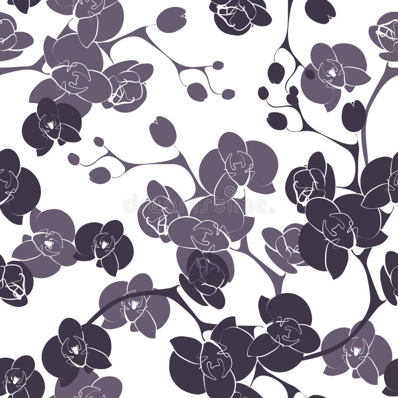 Flower Orchid Decoration Design Seamless Texture Pattern Stock Vector ...