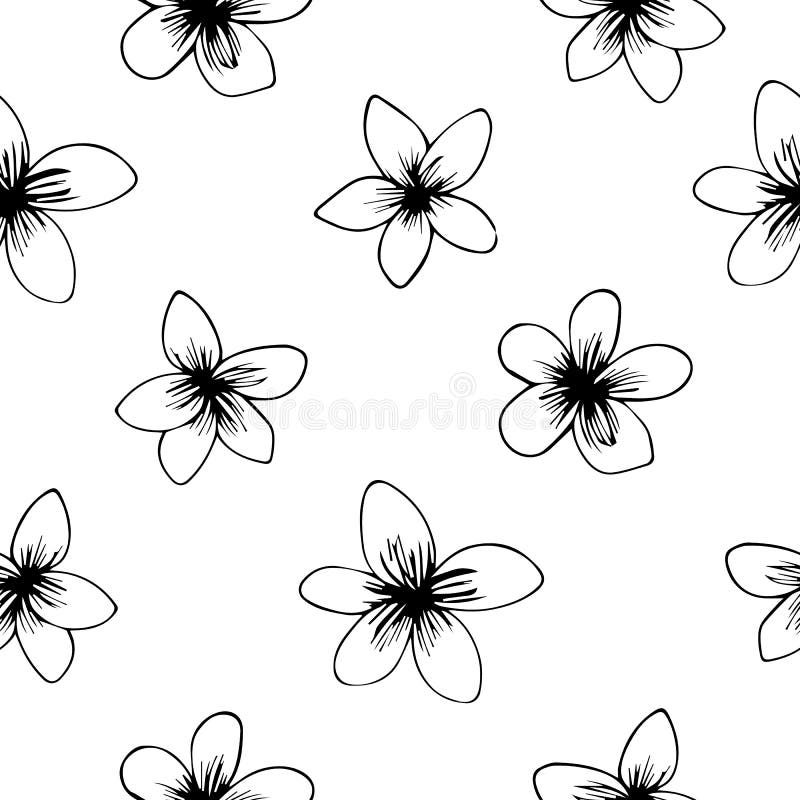 Floral seamless pattern. stock illustration. Illustration of drawn ...
