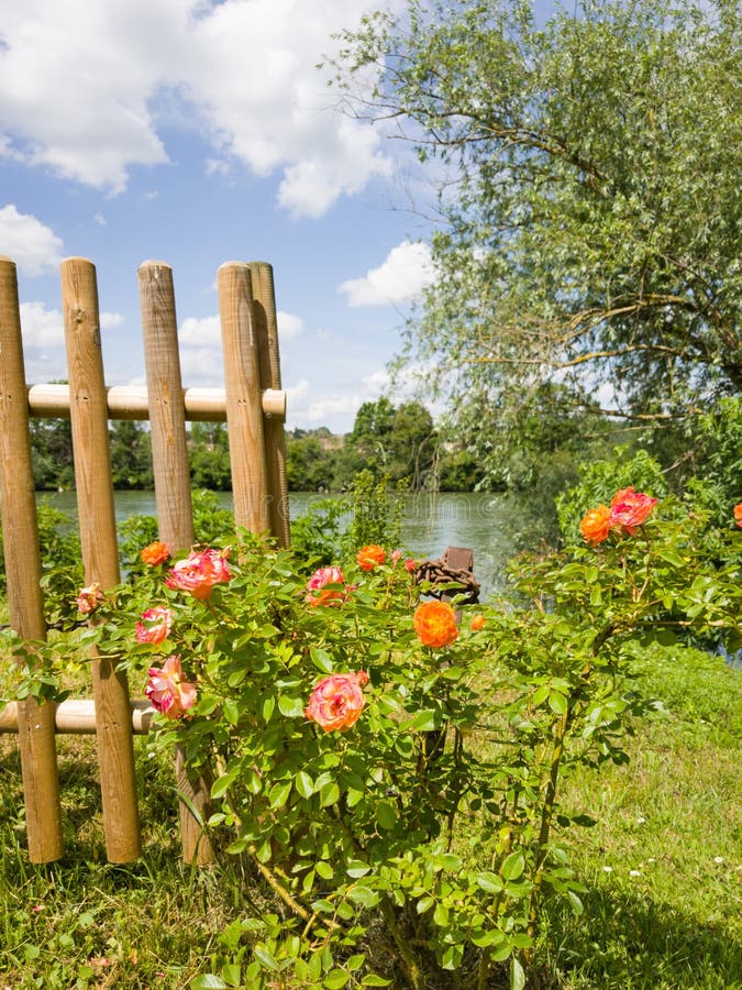 Flower over the river stock photo. Image of lawn, plant - 193311068