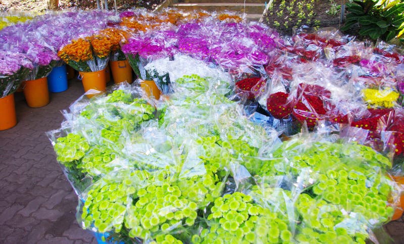 Flower pack for sell stock image. Image of color, wrap - 25575777