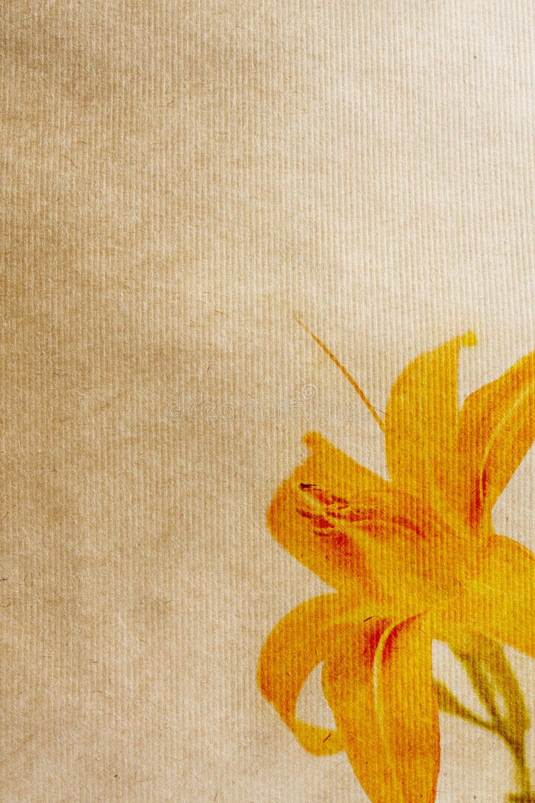 1,345 Lilly Flower Frame Stock Photos - Free & Royalty-Free Stock ...