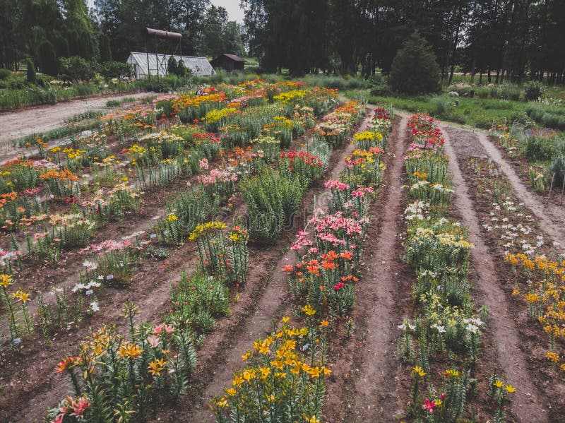Flower Park Botanical Garden Editorial Image - Image of outdoor, flower ...