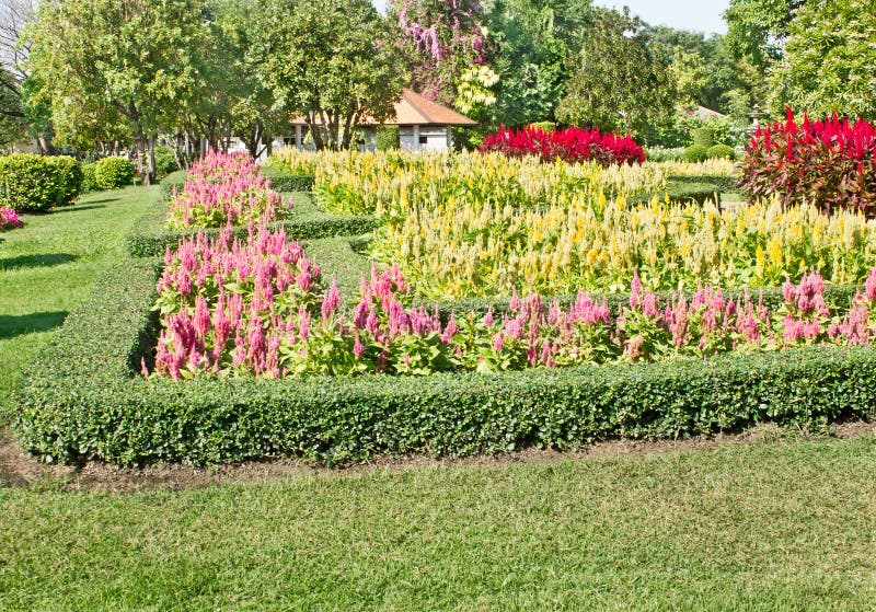 Flower park public stock image. Image of flower, plant - 58688351