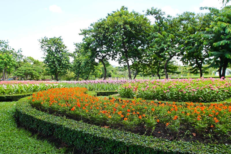 Flower park stock photo. Image of green, bush, flower - 32997168