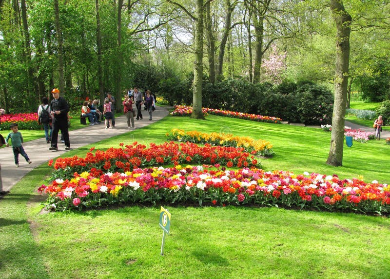 Flower park editorial image. Image of garden, spring - 65935535