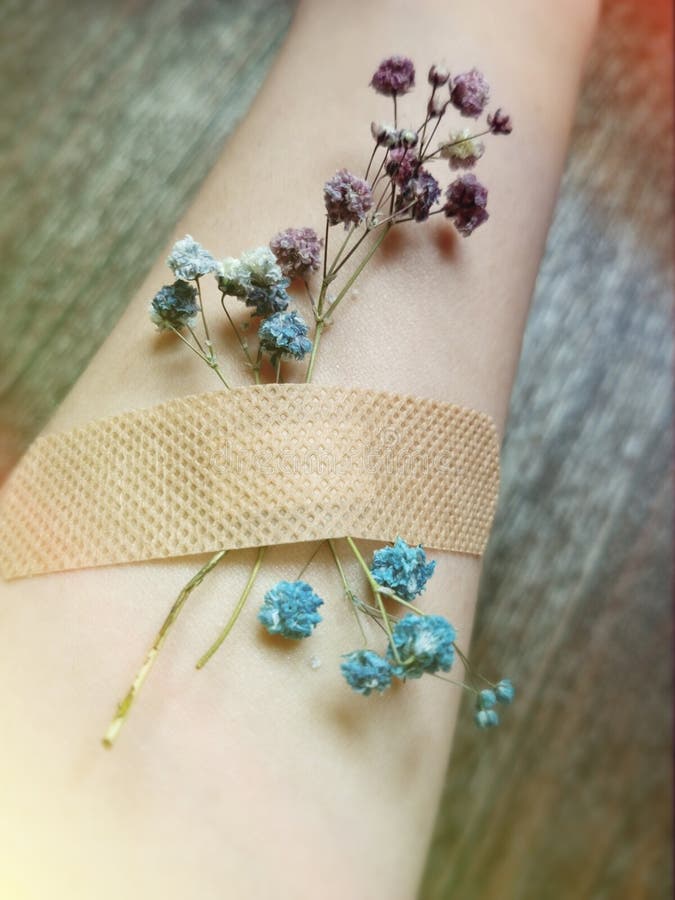 Flower Patch Health and Safety, Hand Stock Photo - Image of patch ...