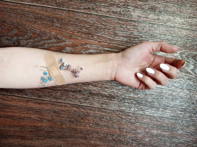 Flower Patch Health and Safety, Hand Stock Image - Image of flower ...