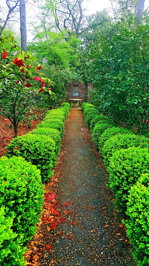 Flower path stock photo. Image of flowers, petals, bush - 143854802