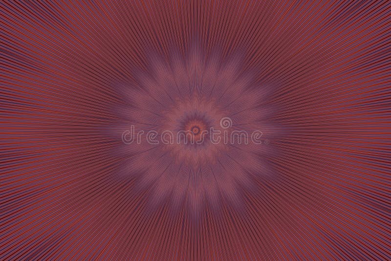 Flower Pattern Floral Kaleidoscope Amaranth. Motifs Stock Illustration ...