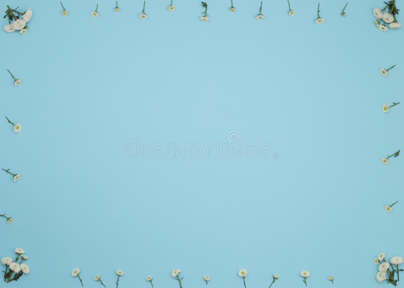 Flower Pattern Top View on Color Paper for Background Stock Image ...