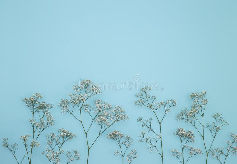 Flower Pattern Top View on Color Paper for Background Stock Photo ...