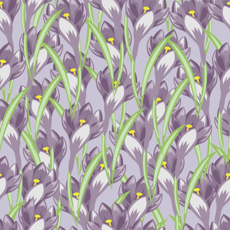 Flower Patterns Spring Crocus Stock Vector - Illustration of colorful ...
