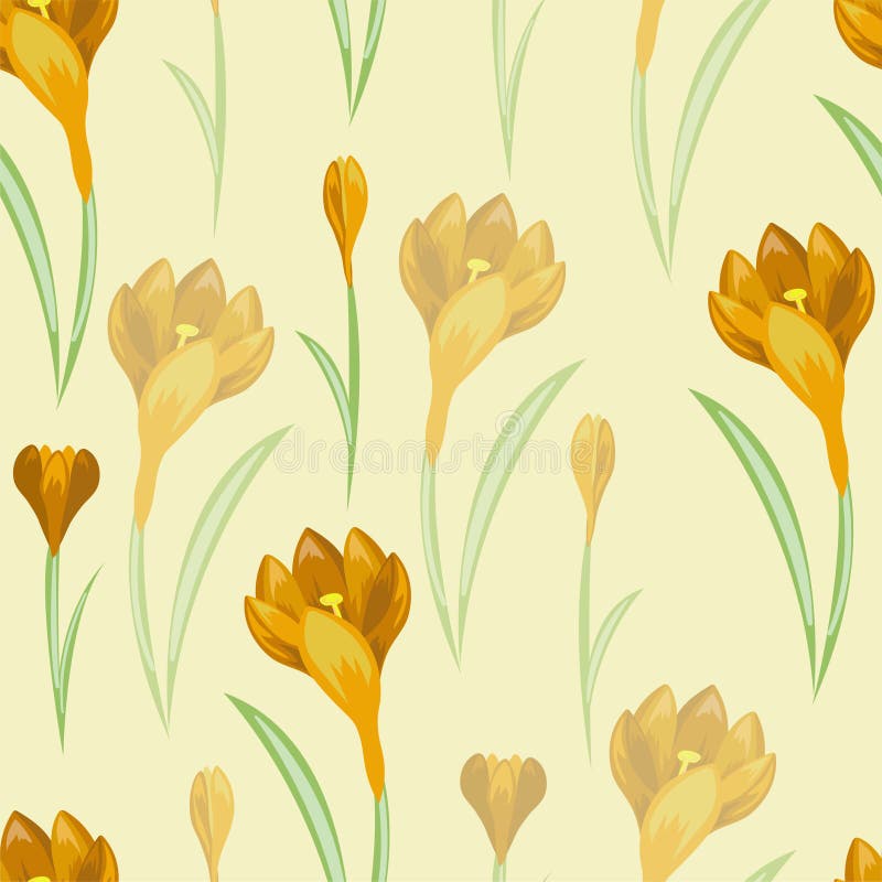 Yellow crocus stock vector. Illustration of floral, isolated - 29076072