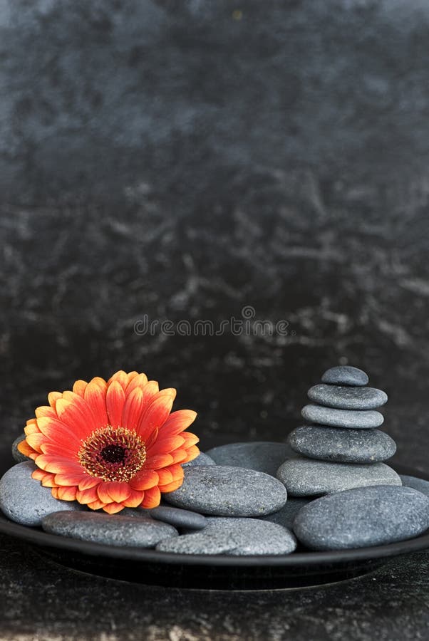 Flower and pebble stock image. Image of nature, purity - 10992489