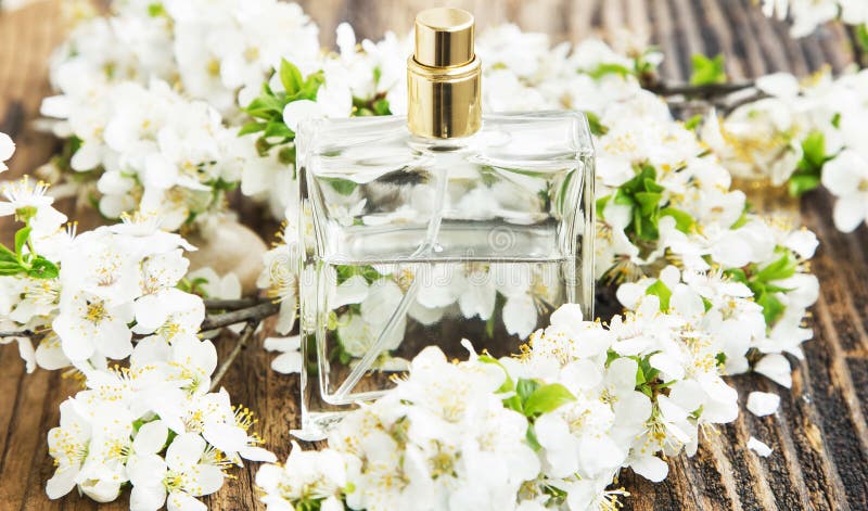 Flower Perfume Bottle stock photo. Image of aromatic - 54273752