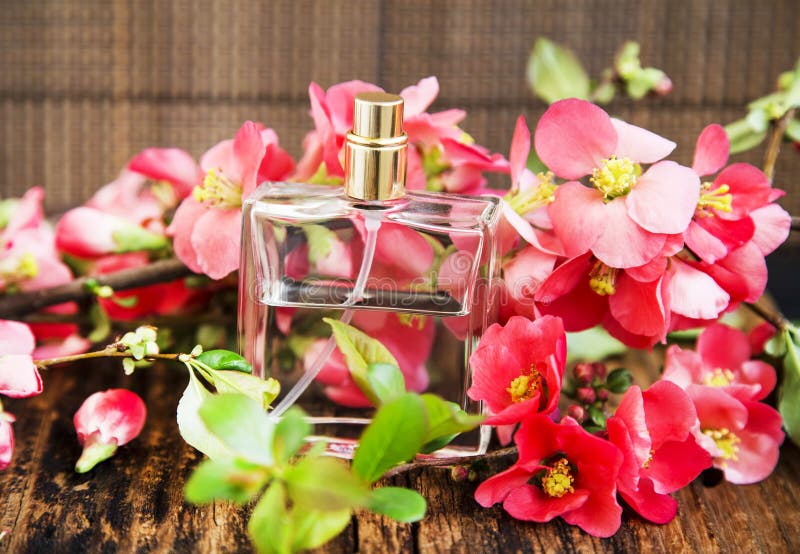 Flower Perfume Bottle stock photo. Image of female, essential - 54267792