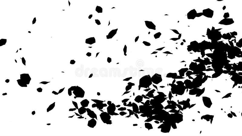 Flower Petals Falling on White Background Texture or Background HD ...
