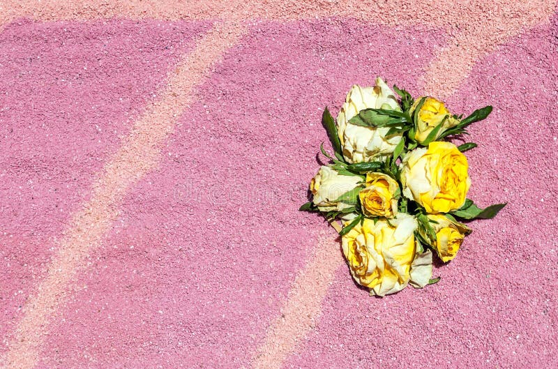 Flower petals stock photo. Image of carpet, bright, floral - 44011458