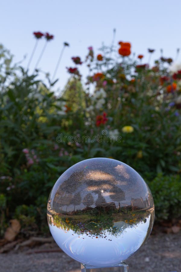 Flower photo sphere stock image. Image of farmhouse - 135360607