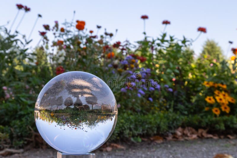 Flower photo sphere stock image. Image of bulb, called - 135360611