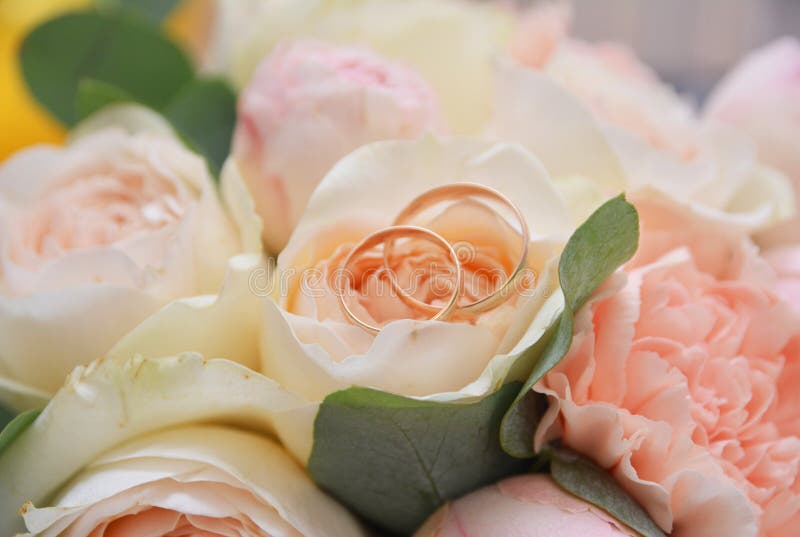 Flower pink bountiful stock image. Image of produce - 200872185