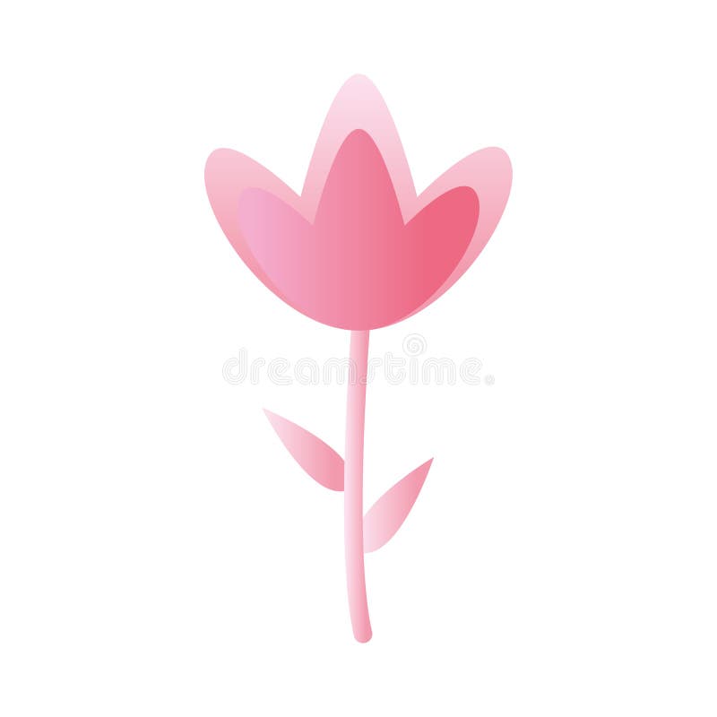 Flower with a pink color stock vector. Illustration of drawing - 205722128