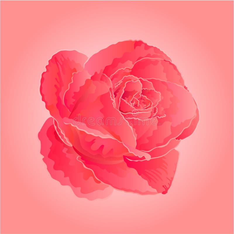 Flower Pink Vector Stock Illustrations – 379,945 Flower Pink Vector ...