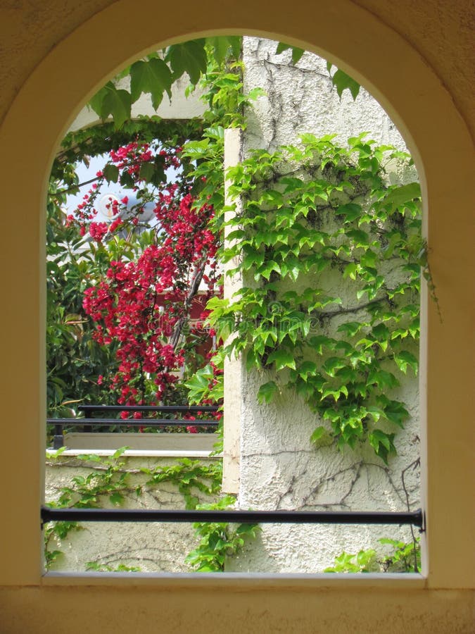 Flower, Plant, Window, Leaf Picture. Image: 131670645