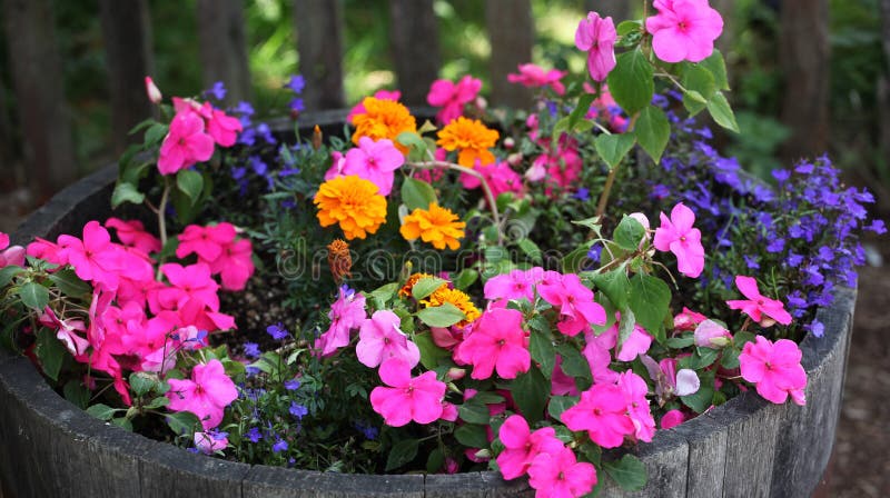 Flower planter. stock image. Image of visual, garden - 15851229