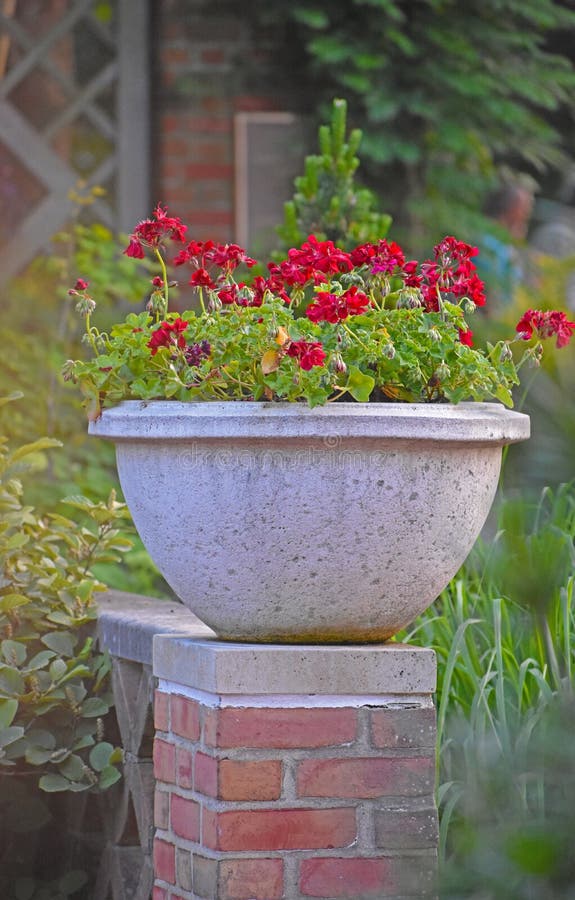 Flower Planter on Brick Post with Red Flora Stock Image - Image of ...