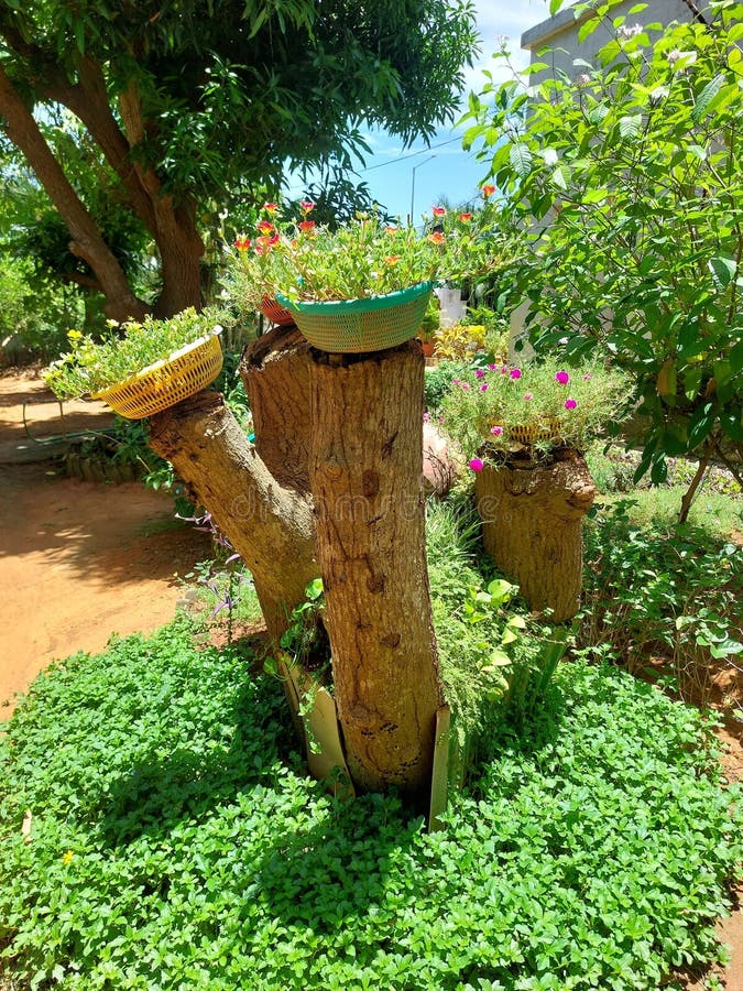 Flower Plants on Decorative Base Stock Photo - Image of structure, soil ...