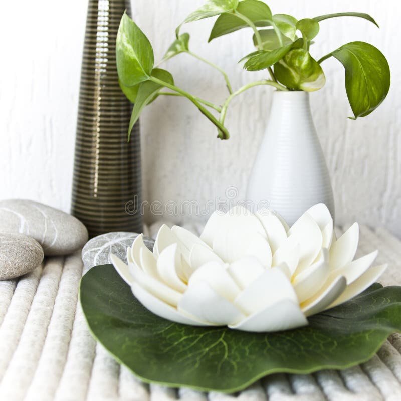 A Flower and Plants in a Spa Stock Image - Image of relax, vase: 16254339