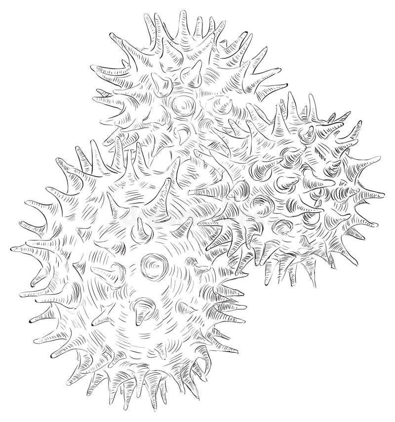 Flower pollen stock vector. Illustration of pattern, vector - 23333610