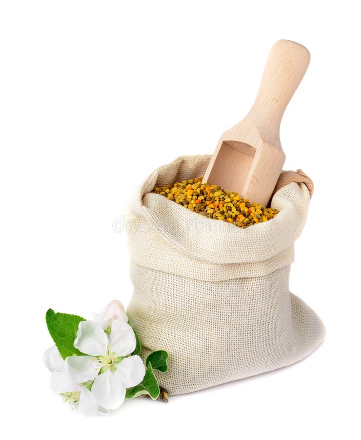 Pollen collected. stock photo. Image of flowery, botanic - 71952058