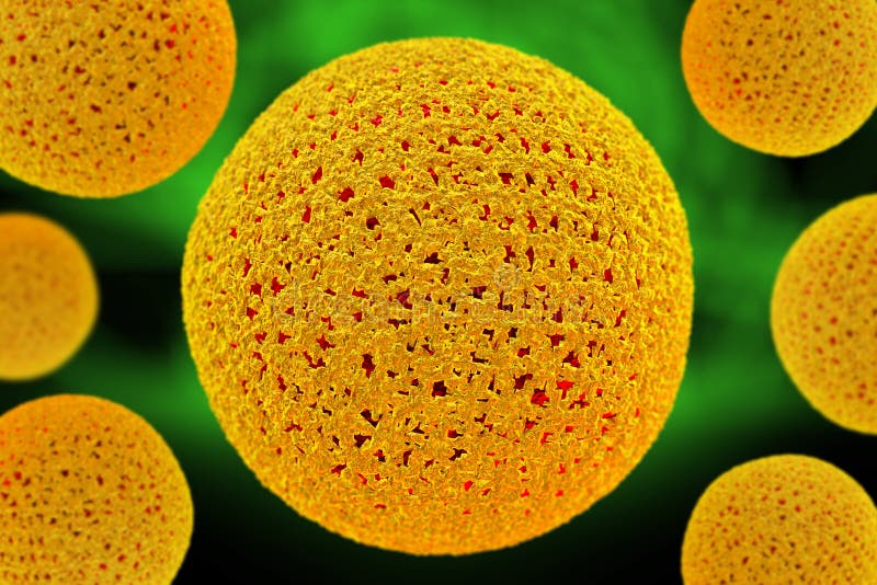 Flower Pollen Particles 3D Illustration Stock Illustration ...