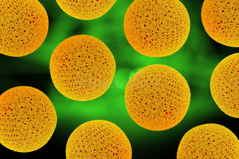 Pollen Particles - Close Up Stock Illustration - Illustration of ...