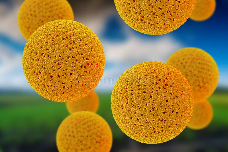 Pollen Particles - Close Up Stock Illustration - Illustration of ...
