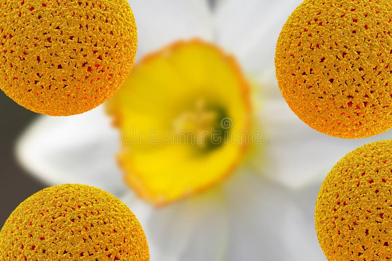 Flower Pollen Particles 3D Illustration Stock Photo - Image of ...