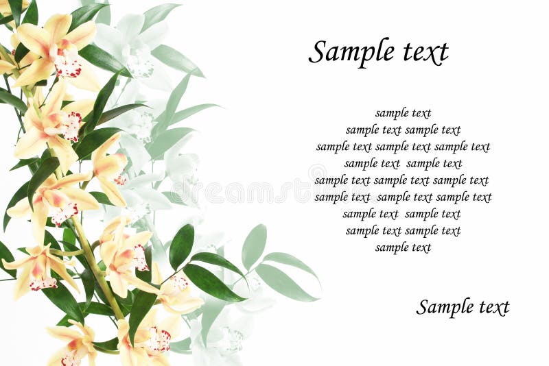 Flower post card stock illustration. Illustration of flower - 13199131