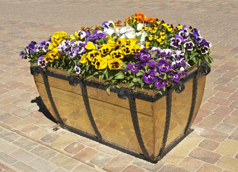 Flower pot. stock photo. Image of classic, plants, urban - 19867076