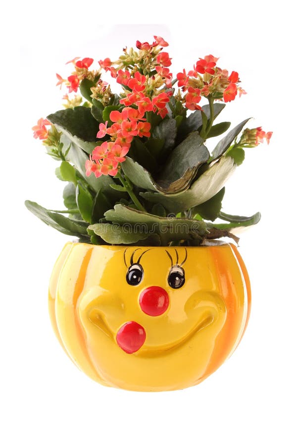 Flower pot stock image. Image of smile, happiness, decorative - 21848353