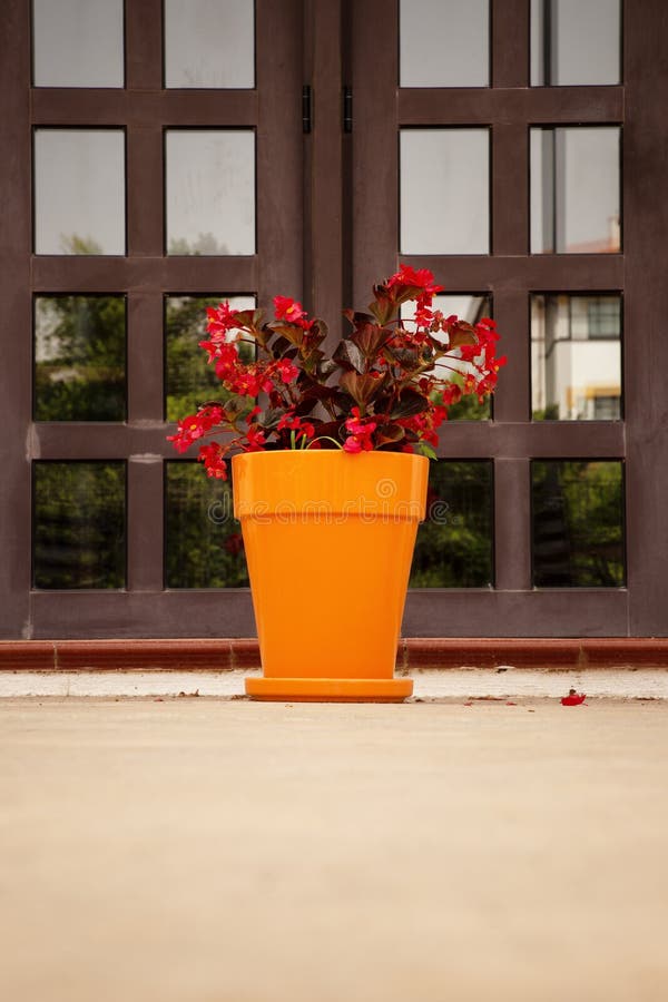 Flower Pot Background Image Stock Photo - Image of design, decorative ...
